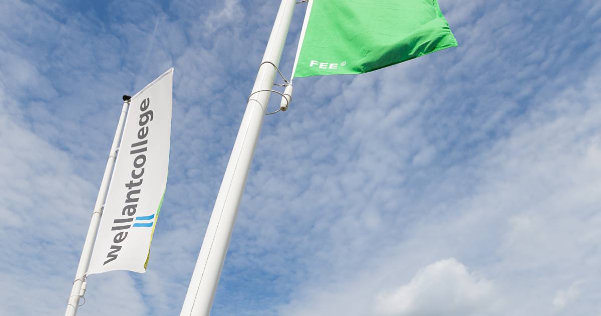 Eis: half jaar cel voor oud-leraar Wellantcollege na ontucht met 15 ...