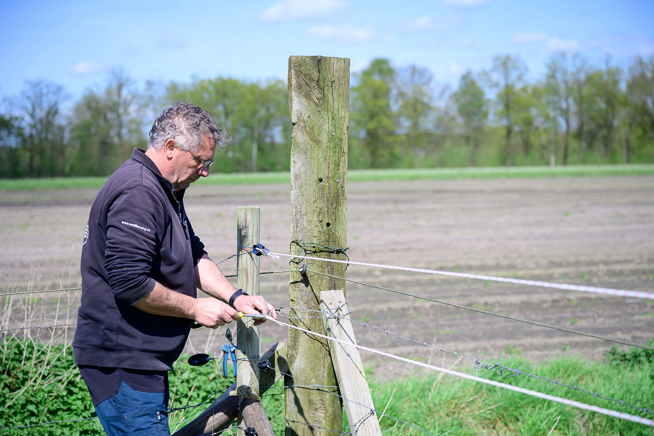Maak kennis met het team dat in de noorderkempen uw dieren tegen wolven ...