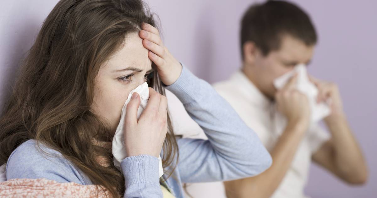 Kwakkelweer doet ons snotteren | Fit & Gezond | hln.be