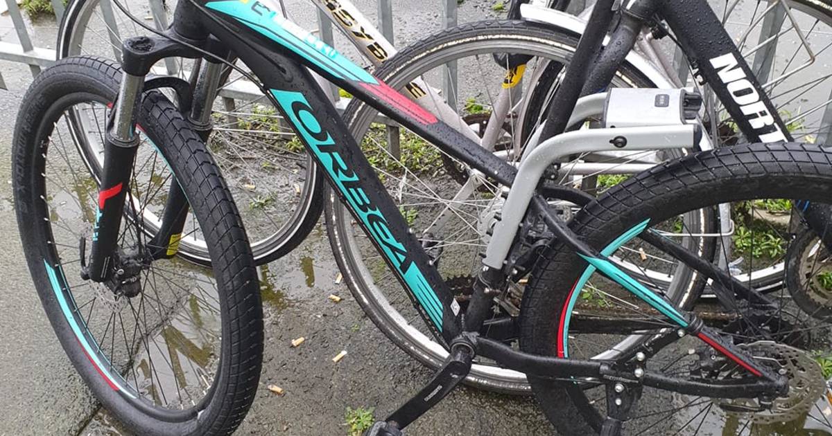 Treinbegeleiders kunnen fietsdiefstallen neutraliseren op perron ...
