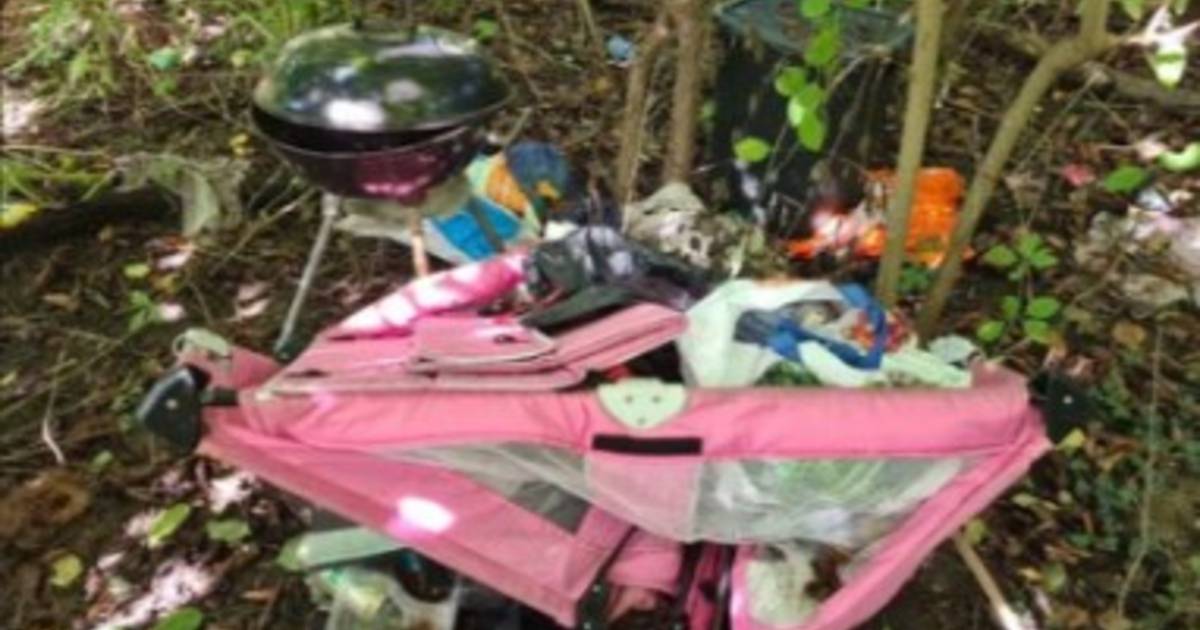 Daklozen wonen in plantsoen Lelystad, wijkagent: ‘Dit gaan we meer tegenkomen’ | Flevoland ...