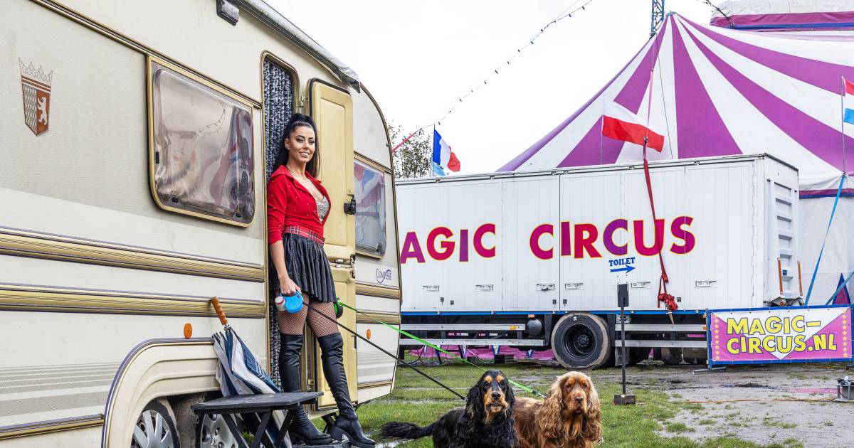 Acrobate Anna (36) neemt haar hondjes altijd mee, waar circus ook is: ‘Ze hebben een beter leven ...