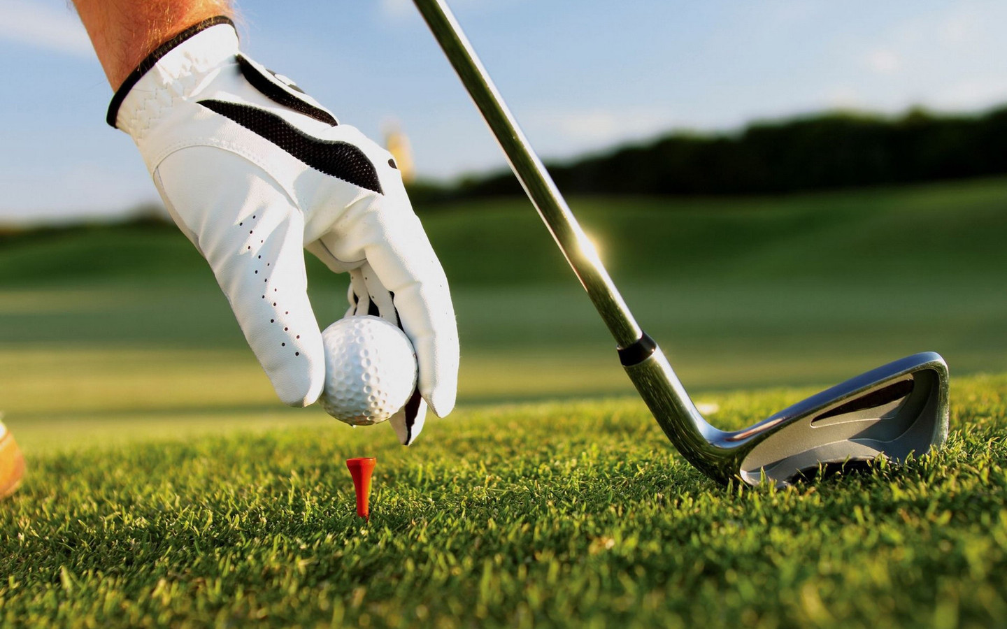 Golf voor dummies: zo speel je het spel en dit zijn de regels | Foto ...