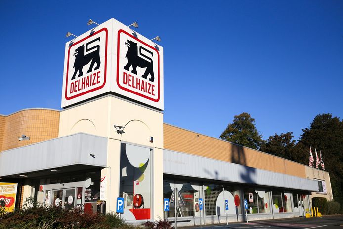 Delhaize wint marktaandeel, winstmarges zakken | Economie | hln.be