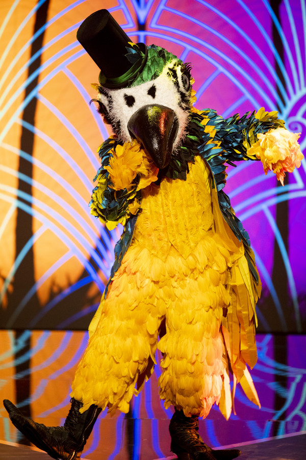 Léanne maakt kostuums The Masked Singer: ‘Wij weten alleen de maten ...