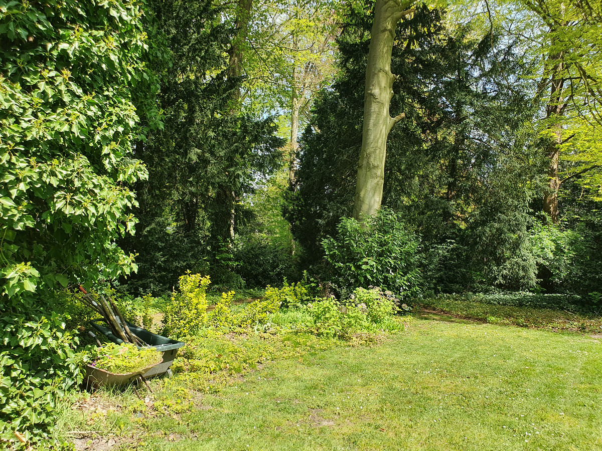 IN BEELD. Een unieke blik op het prachtige park achter ‘Villa Holganza ...