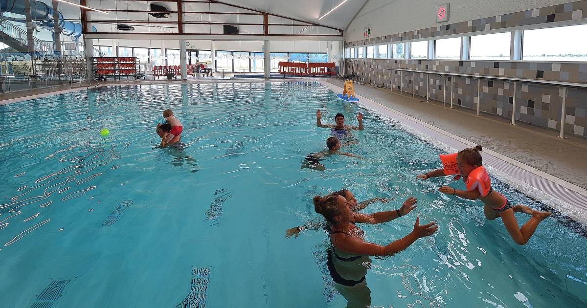 Onderzoekers: ‘Bergs zwembad De Schelp was ondermaats’ | Bergen op Zoom ...