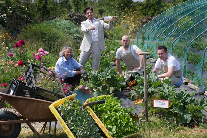 Creaties van 20 horecamensen proeven én zelf wat leren maken: Mazijk ...