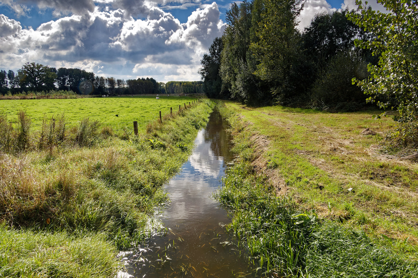 Groote Waterloop wordt natuurlijke verbinding tussen de Scheeken en het ...