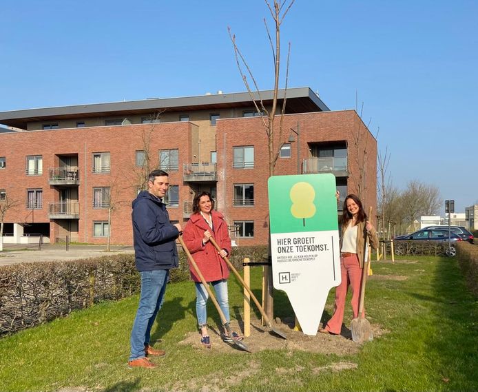 Van de Chinese notenboom tot eiken uit Zuid-Europa: Hasselt verwelkomt ...