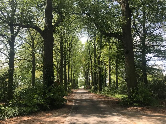 Het Boechout van Bart Peeters | Boechout | hln.be