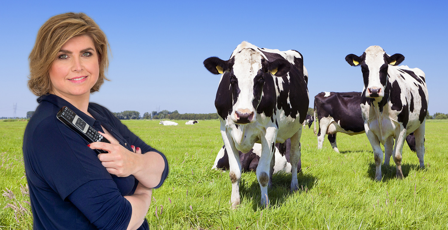 De mannen van Michelle zijn de sukkels van de week | Foto | gelderlander.nl