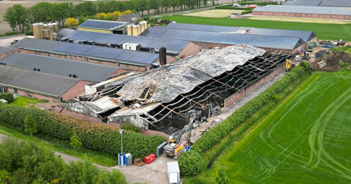Reusel komt goed weg: scherven van zonnepanelen niet ver verspreid na ...