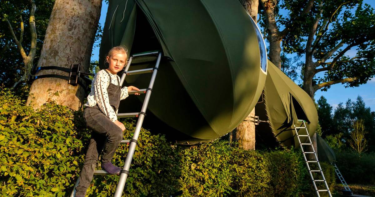 Alice (10) wint nachtje 'pitkamperen' in domein De Notelaer | Bornem ...