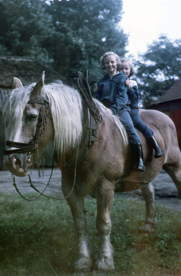 Met de Collse Hoeve verdwijnt een stuk historie van Nuenen - en het ...