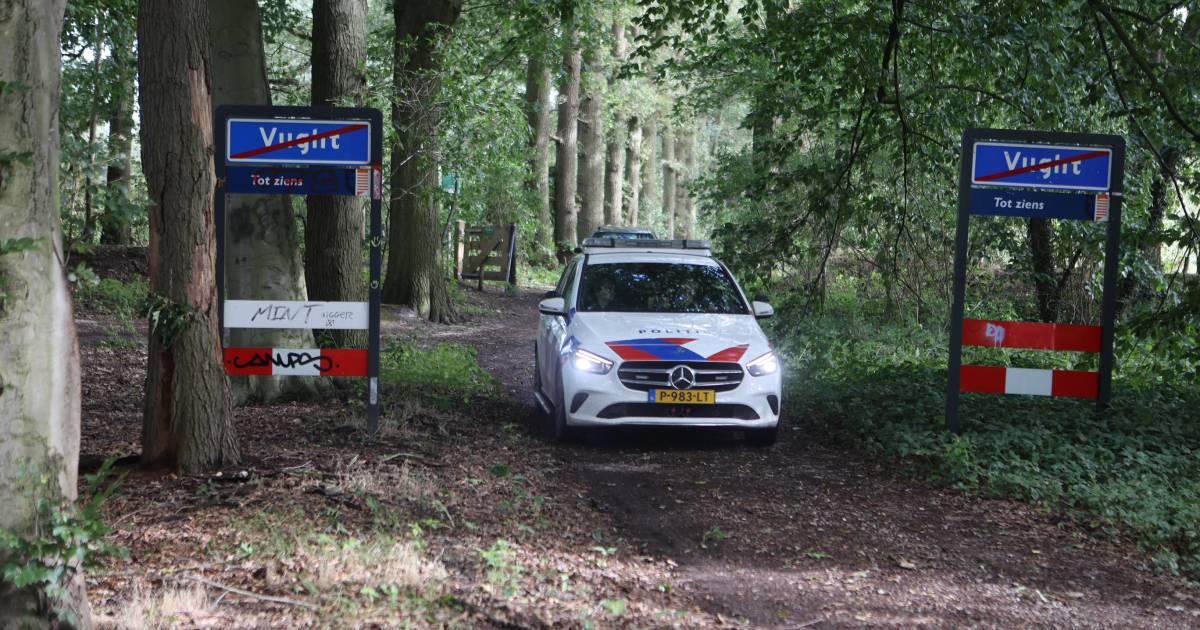 Ontsnapte gevangene was veroordeeld voor meerdere geweldsdelicten ...