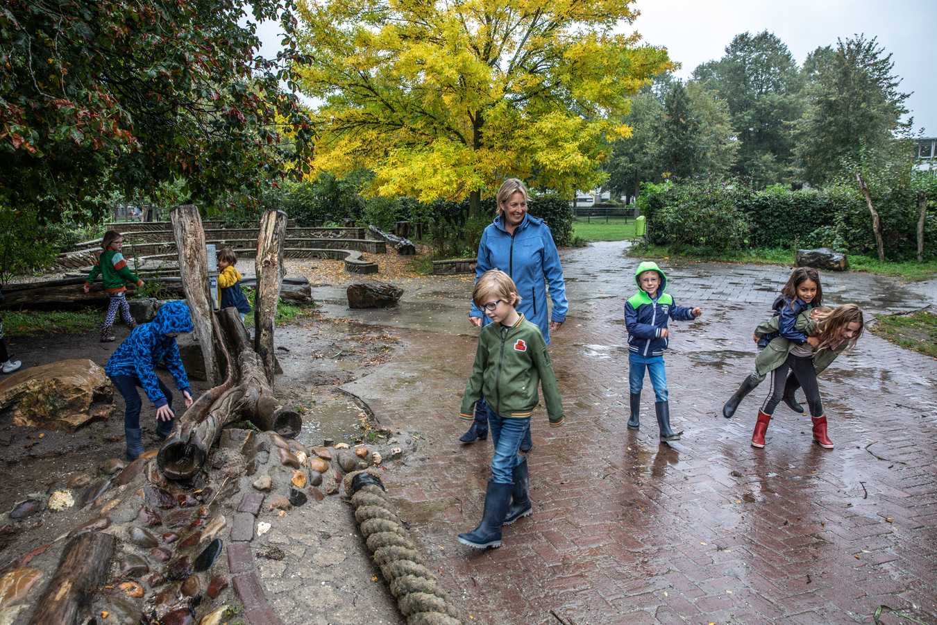 Basisscholen in Zwolle willen allemáál natuurspeelplaats: ‘Meer rust en ...