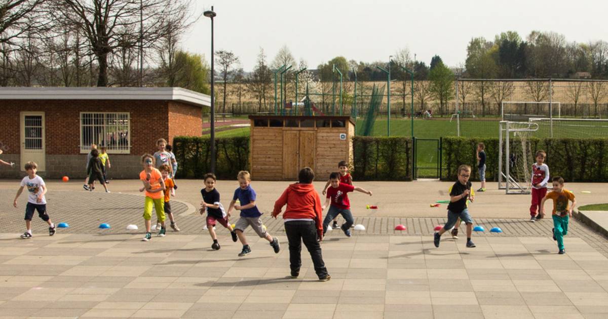 Basisschool KLOK speelt Chinese muur | Kortessem | hln.be