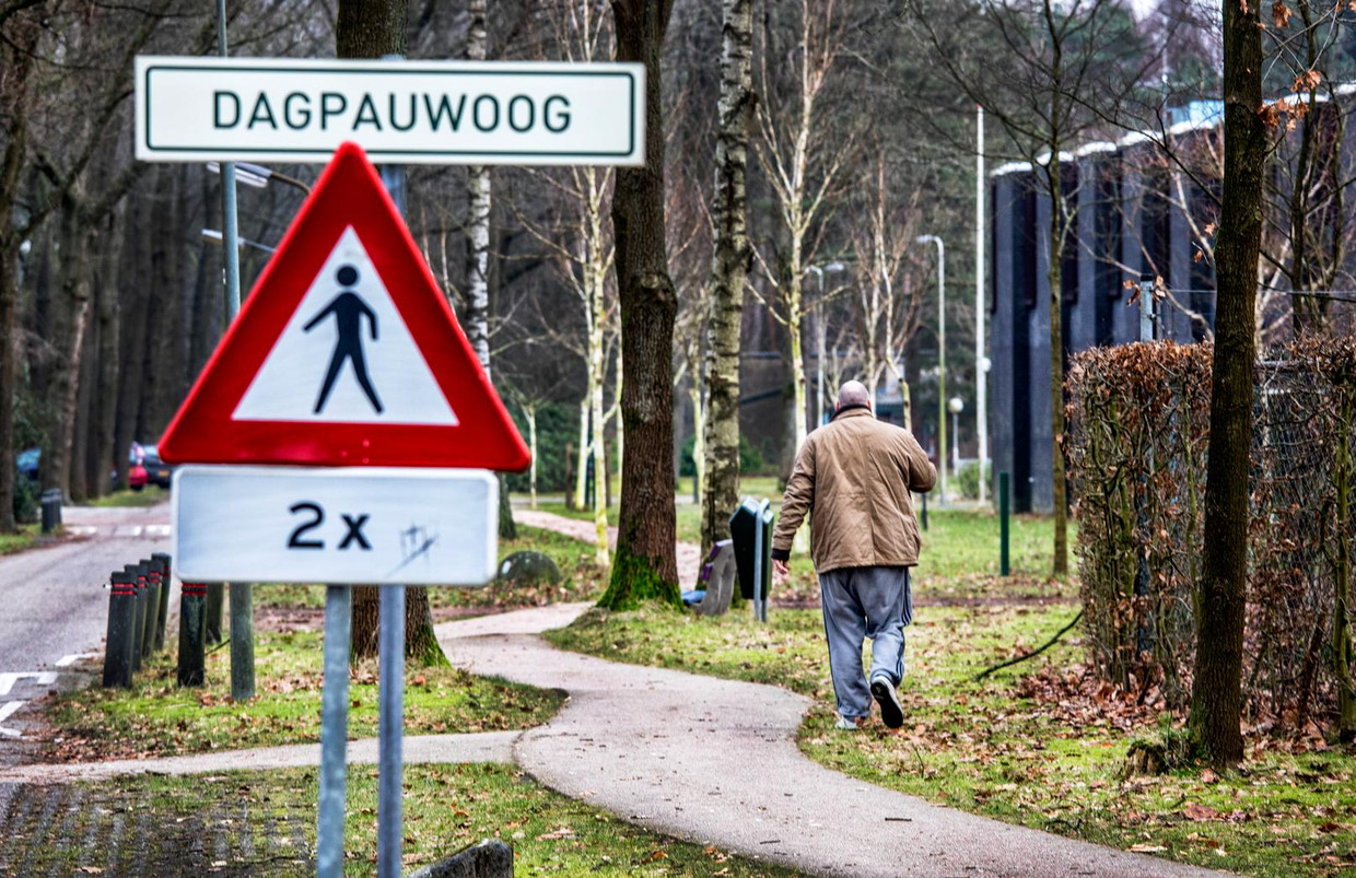 Vandaag begint de rechtszaak tegen Michael P. Hoe is het nu in Den Dolder?