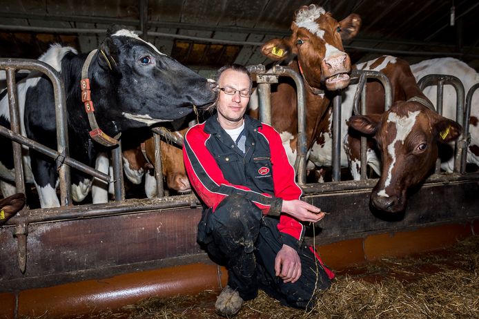 Stadsboer Arie Steenwijk tot wanhoop gedreven door onzekerheid ...