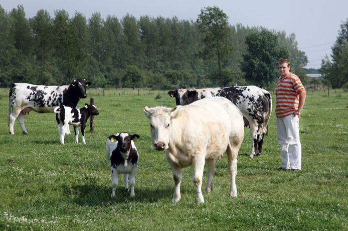 Vijfduizend euro voor gouden tip over gestolen dikbillen | Betuwe ...