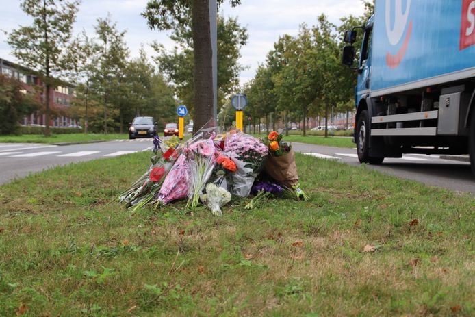 Kleine bloemenzee voor omgekomen vrouw (73) op plek waar ze werd aangereden | Zoetermeer | AD.nl
