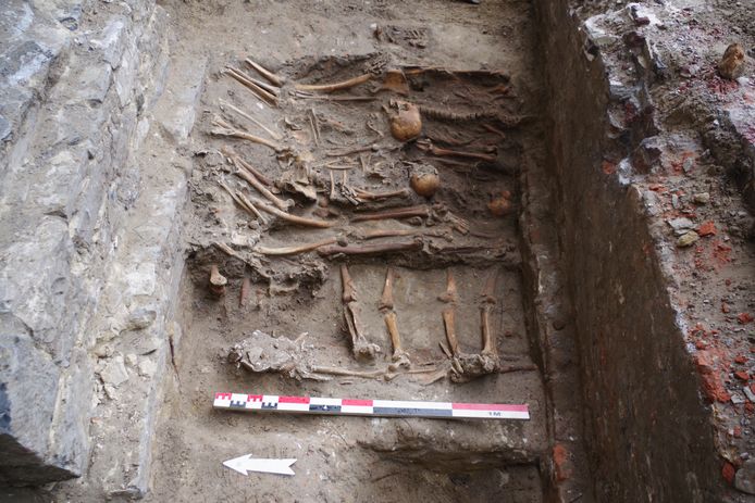 Archeologisch onderzoek in en rond Sint-Baafskathedraal levert verbluffende resultaten op: 1.057 ...