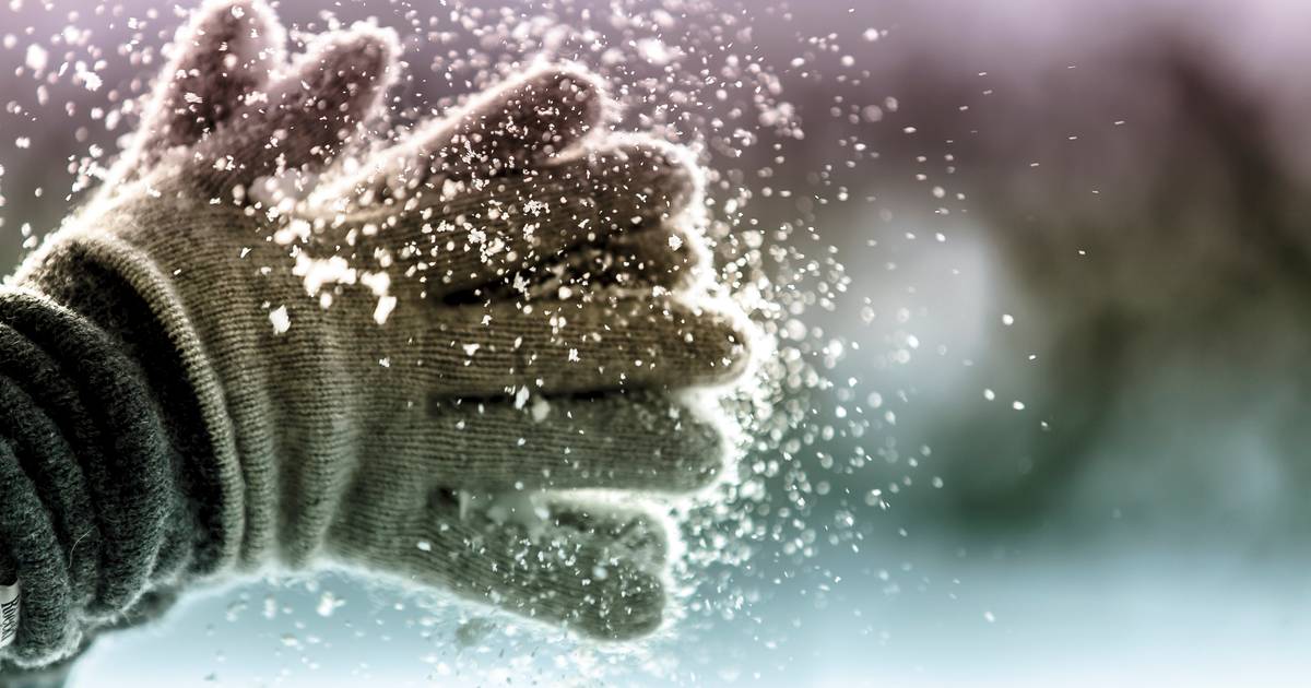 DSO-Ensemble brengt winterconcert | Dendermonde | hln.be
