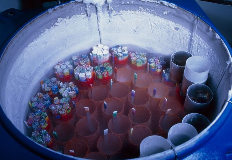 Volkskrant Avond: Gynaecologen: hersendode man mag geen zaad ‘doneren ...