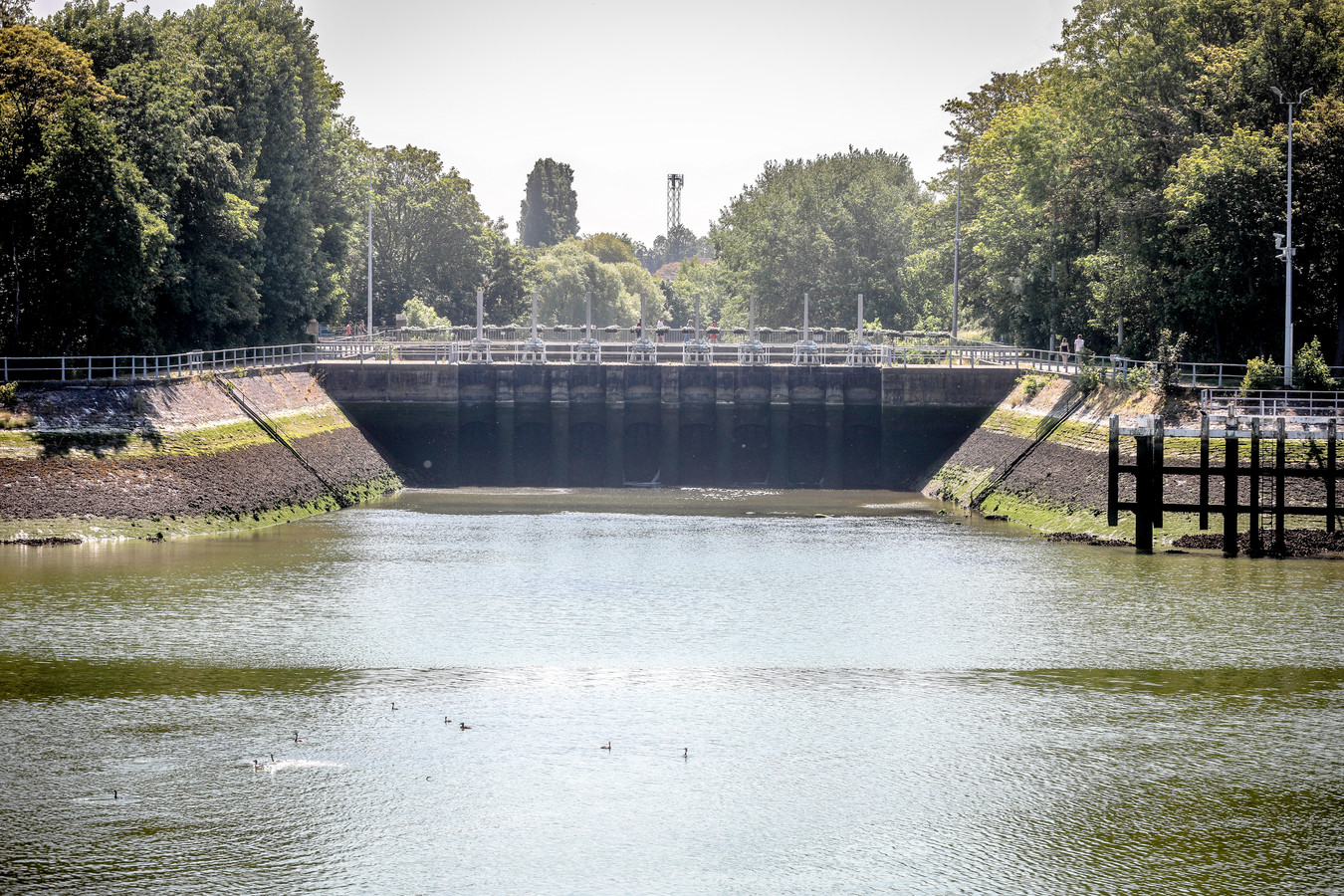 Stormloop op tickets voor historisch lichtspektakel Waar Water Was: “We bouwen speciaal twee ...