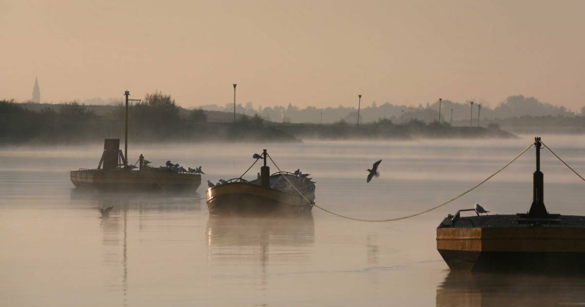 Rivierengebied veiliger na verlagen kribben en oevers | Liemers ...