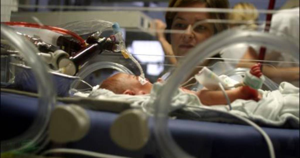 2,75 pct van Antwerpse baby's hebben aangeboren afwijking | Binnenland ...