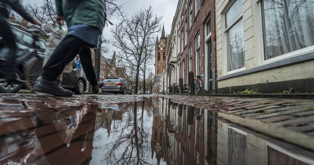 Wateroverlast loopt in Delft de spuigaten uit: wat kun je zelf doen om ...