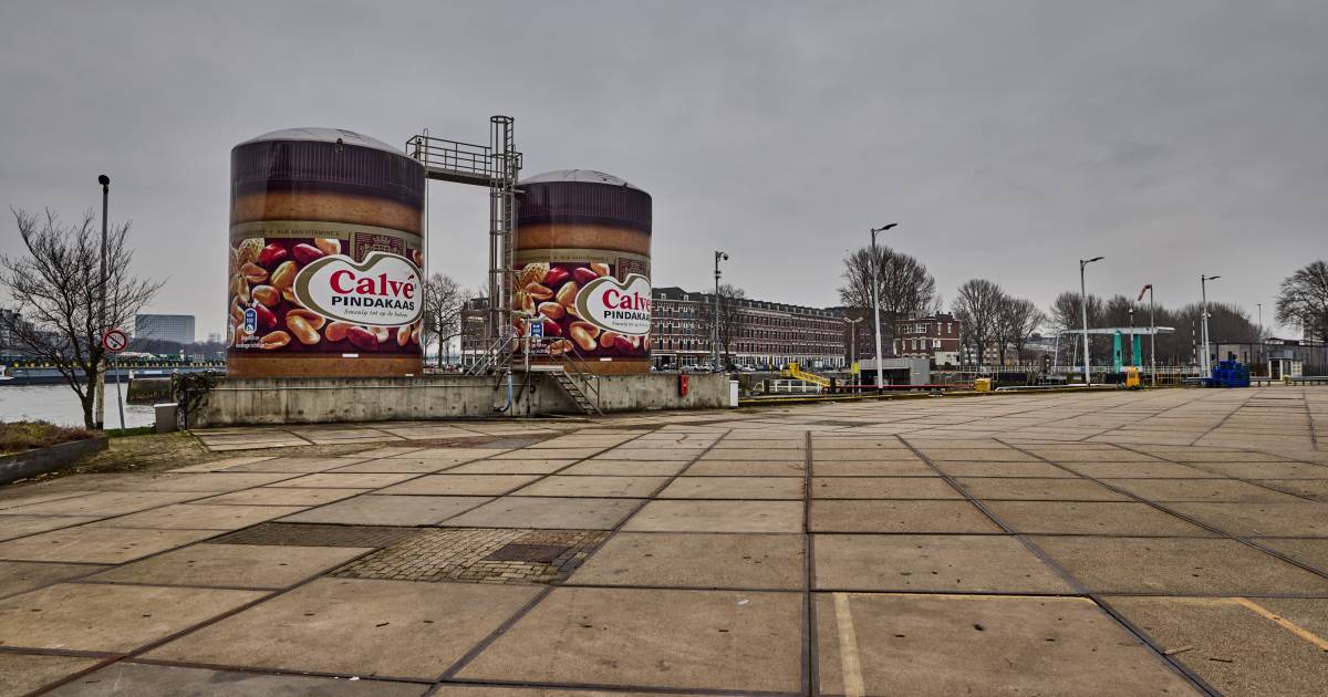 Voormalig Unilever-terrein wordt opengesteld voor publiek: ‘Mensen ...