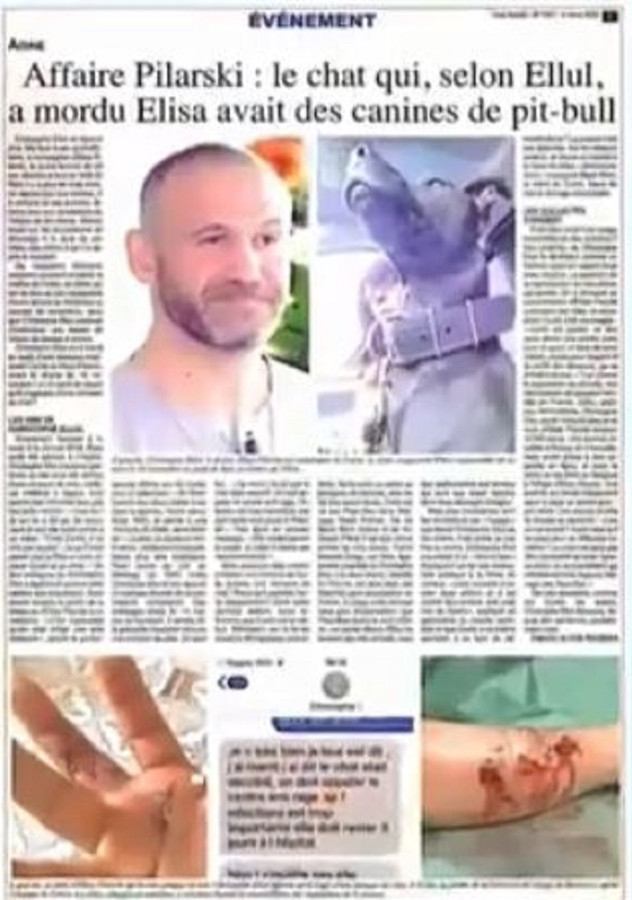 ‘Door honden verscheurde’ Franse vrouw zou zijn doodgebeten door eigen ...