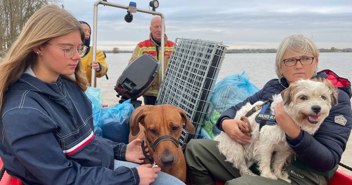 Terry en dochter Silke geëvacueerd uit hun door water omsingeld huis ...