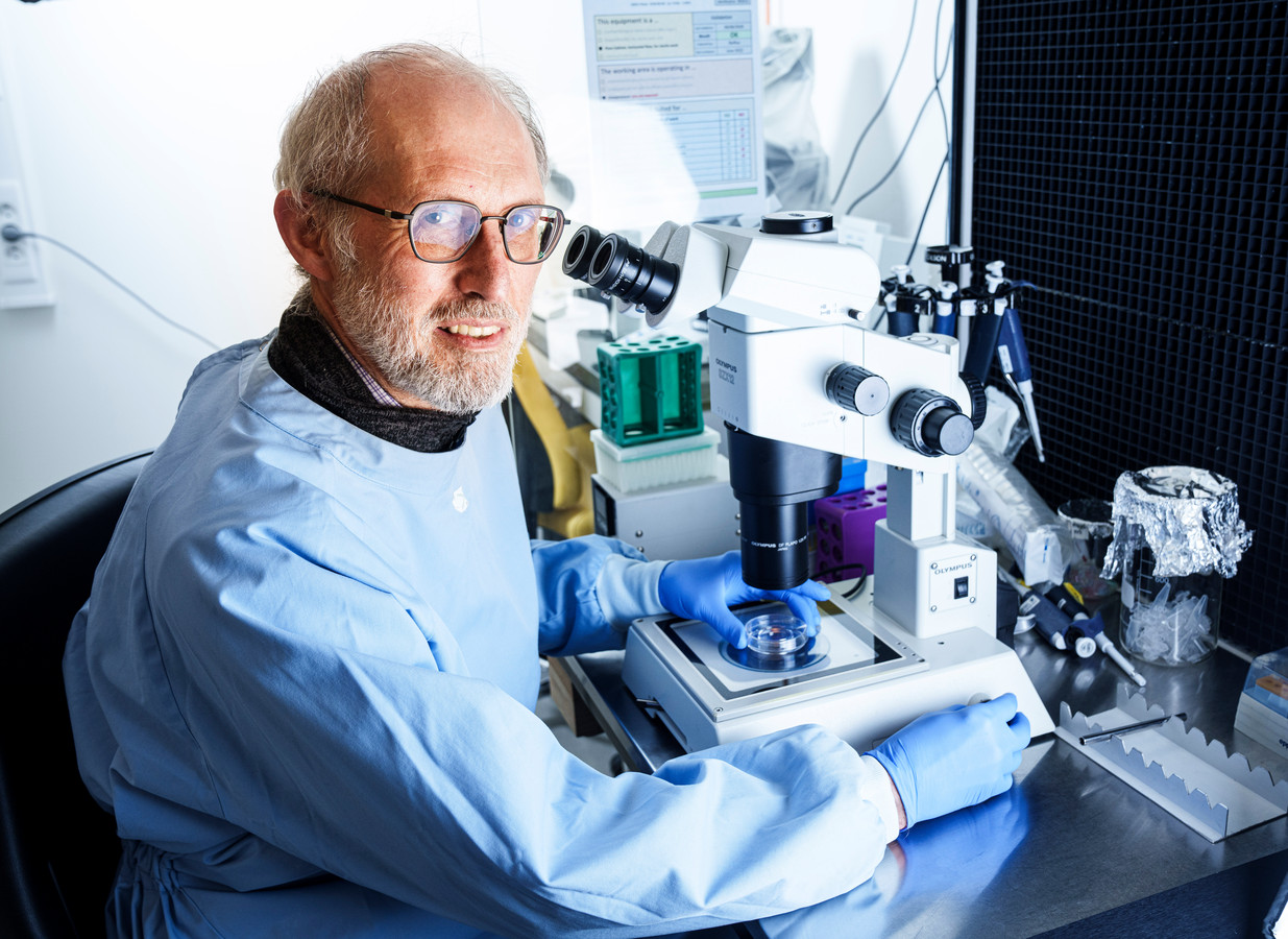 “Voortaan geen hormoonbehandelingen meer”: opvolger ivf klaar om ...