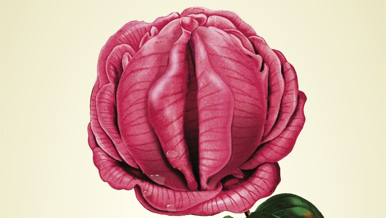 A dirty mind is a joy forever | De Volkskrant