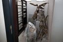 Leuvens ‘kleine, maar fijne’ natuurhistorisch museum gaat een onzekere ...