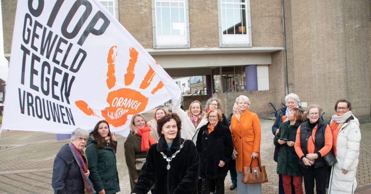 Zeeuws-Vlaanderen vlagt om het geweld tegen vrouwen te stoppen, ook in eigen omgeving | Sluis ...