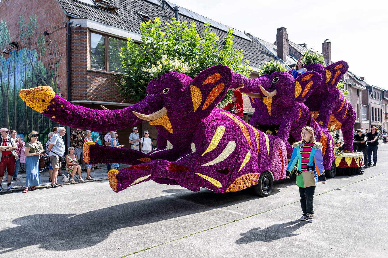 Corsogroep Otterstraat kaapt eerste prijs bloemencorso weg | Foto | hln.be Corsogroep Otterstraat kaapt eerste prijs bloemencorso weg | Foto | hln.be