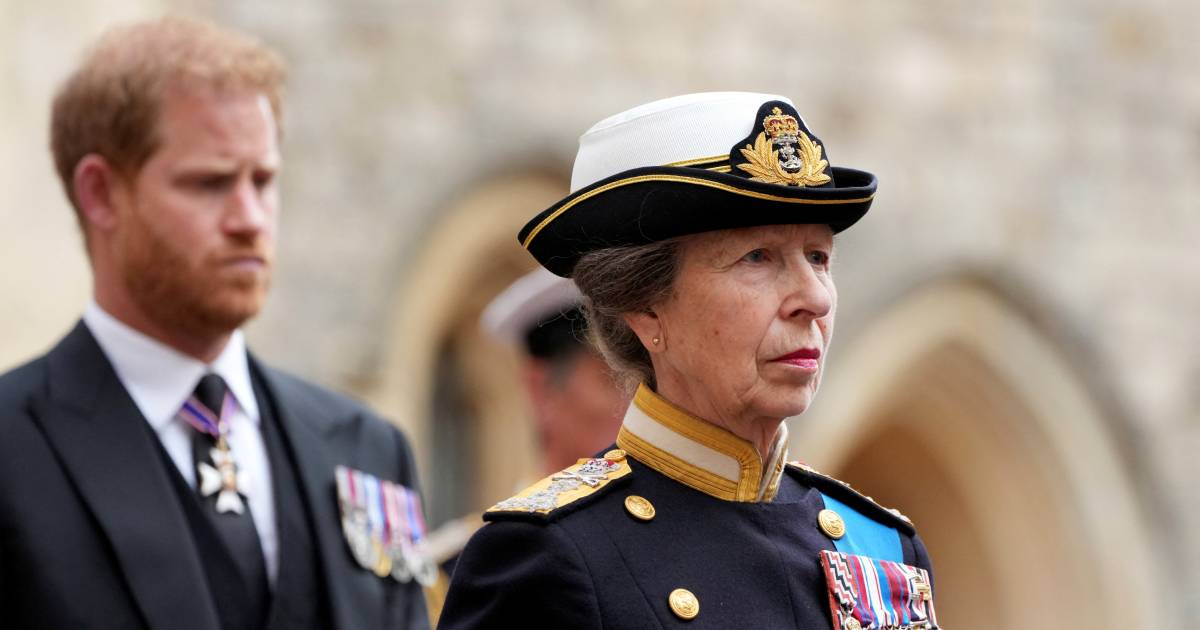 Ruw rond de randen en geen tijd voor dwazen: prinses Anne is de (nieuwe ...