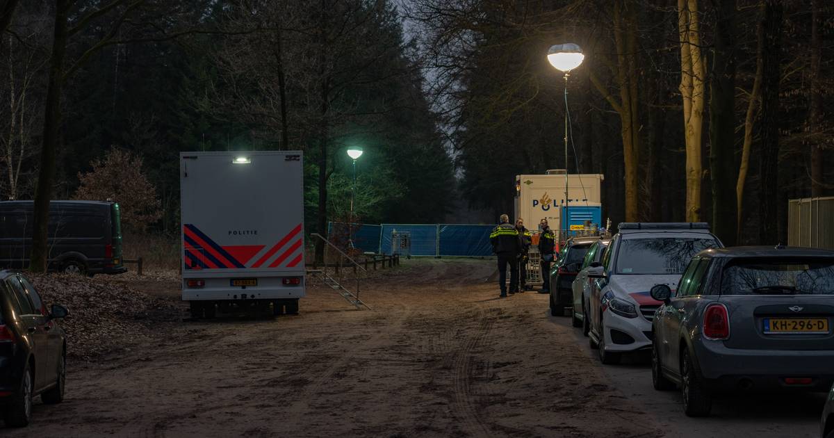 Politie vindt lichaam in bosperceel bij Voorthuizen en start groot onderzoek | 112 nieuws ...