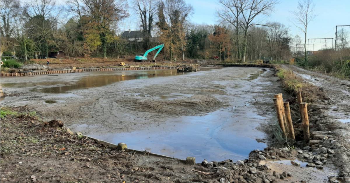 Eeuwenoude vijver van Sint-Anneke moet trekpleister voor mens en dier ...