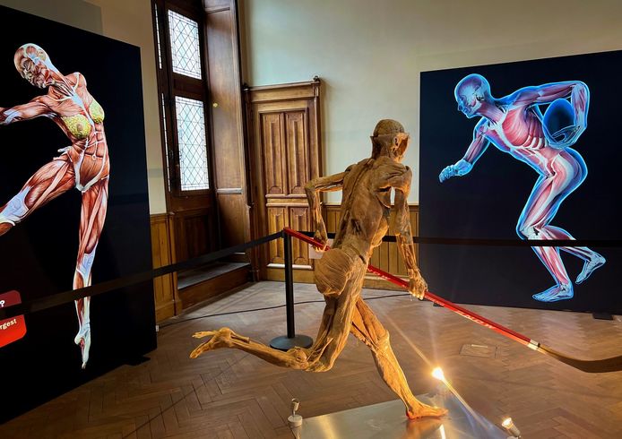 Expo over het menselijke lichaam nog tot eind september in de Handelsbeurs | Antwerpen | hln.be