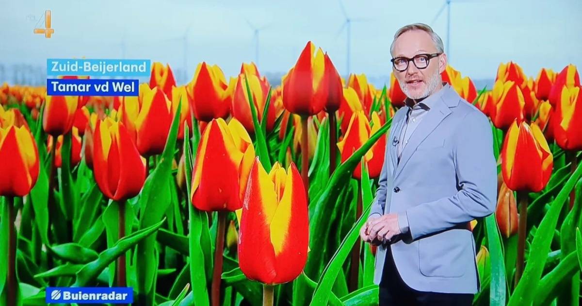 Én weer flikt zij het: Hoeksche Waard mag zich verheugen in landelijke ...
