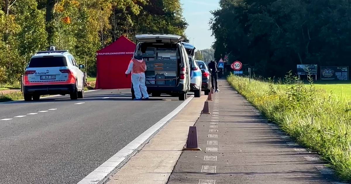 Voetganger (28) overleden na aanrijding door motorrijder in Hamont ...