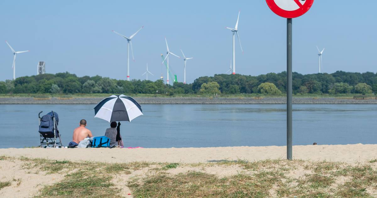 De grote revival van Sint-Anneke Plage: masterplan moet glorie van ...
