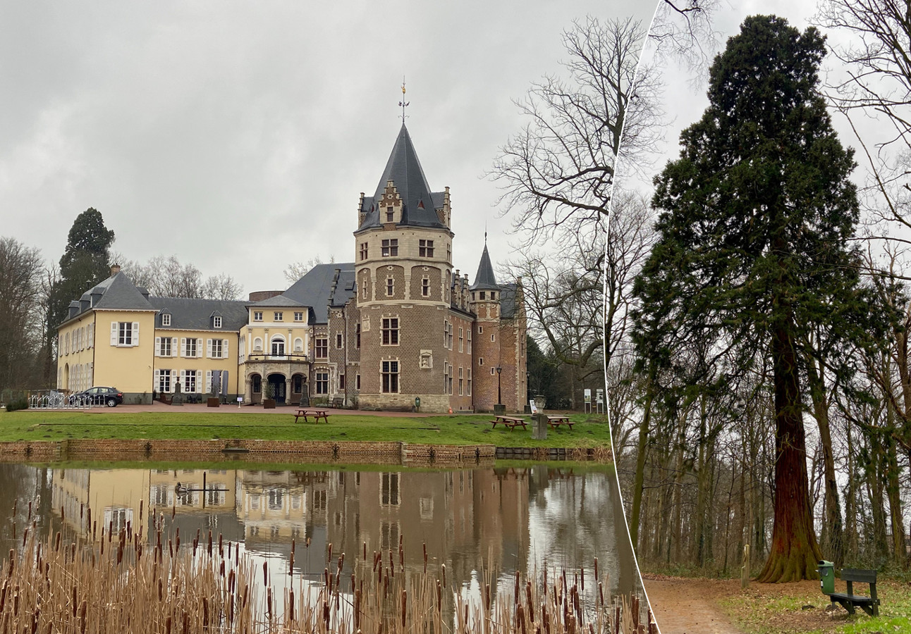 De 7 favoriete plekjes van Harry Hendrickx, oud-burgemeester van Malle ...