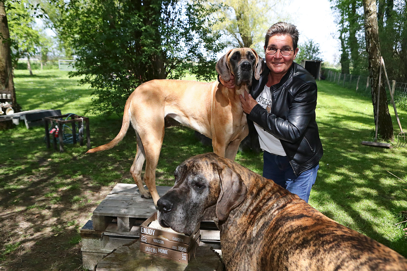 Jolanda heeft een snuffeltuin: ‘Mijn eigen hond lag na een bezoek aan ...